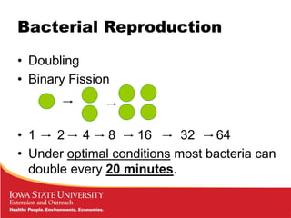 Basic-Microbiology1 | PPT