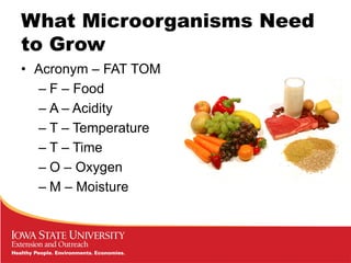 Basic-Microbiology1 | PPT
