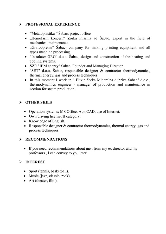 Branko Gajić_CV_Engleski | PDF