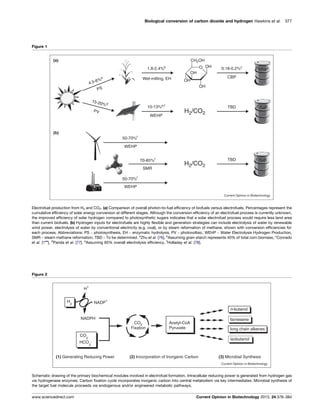 BiologicalGenerationLiquidFuelsReview | PDF
