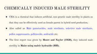 CHEMICALLY INDUCED MALE STERILITY . pptx | PPTX | Infertility ...