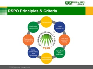 Website Corporate Presentation ENG Version | PPT