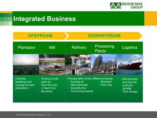 Website Corporate Presentation ENG Version | PPT