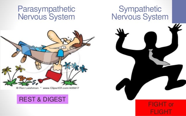 Parallels of Humanitarianism