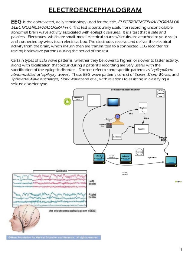 EEG & Epilepsy syndromes report [Autosaved]