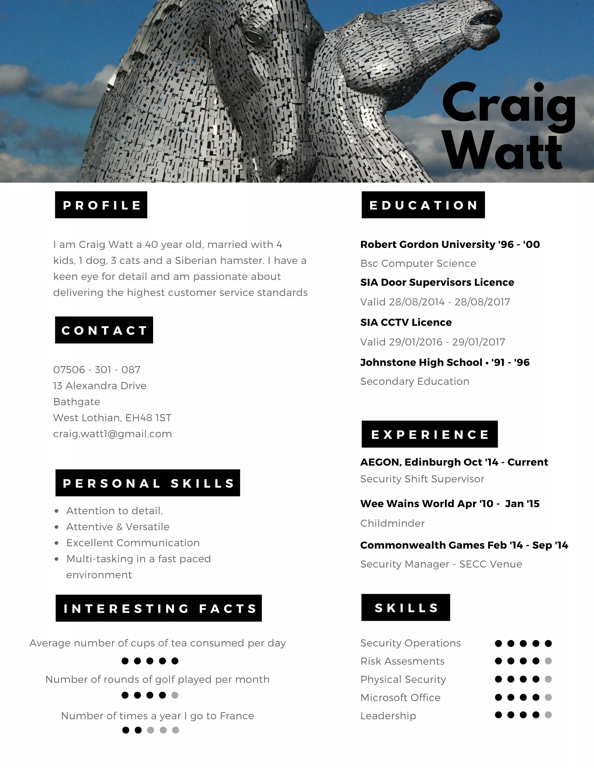 Craig Watt CV | PDF
