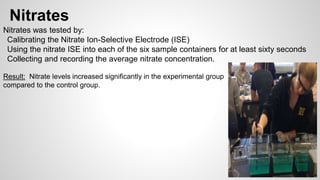 Capstone Presentation | PPT