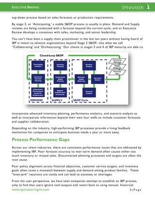 IBP Executive Briefing Spinnaker | PDF