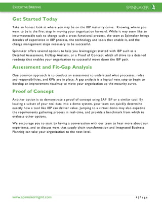 IBP Executive Briefing Spinnaker | PDF