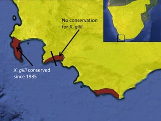 De Villiers defence | PPT