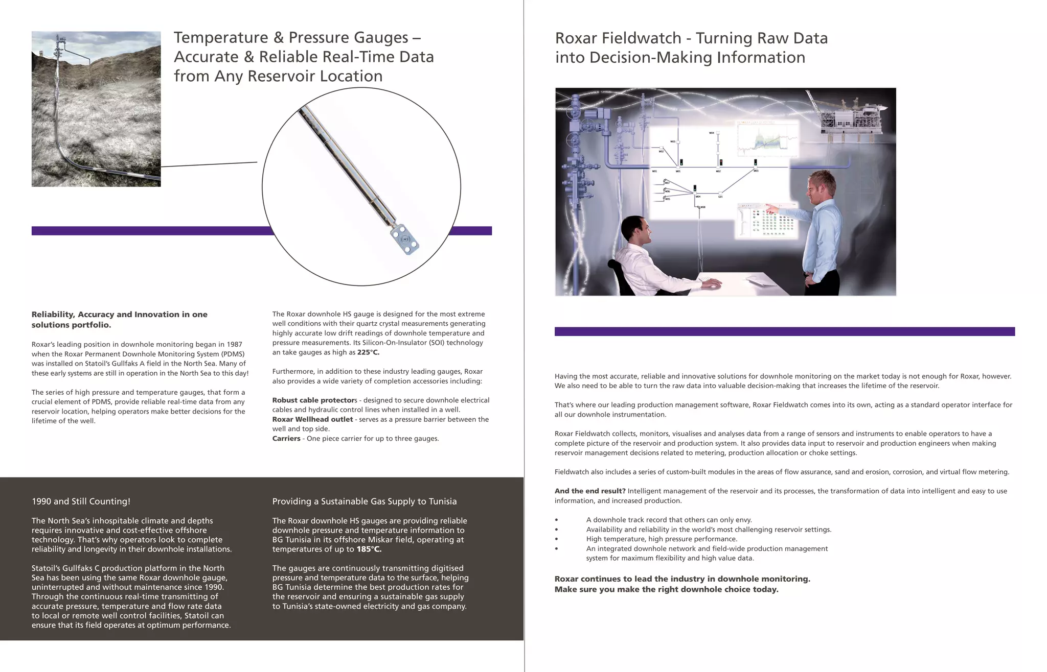 Roxar Downhole Brochure | PDF
