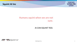 “Squinting Vision Pipelines: Detecting and Correcting Errors in Vision Models at Runtime,” a ...
