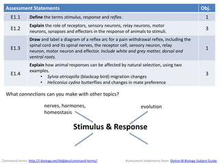 E1 Stimulus And Response | PPTX