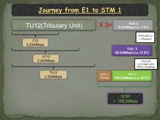 E1 To Stm | PPSX
