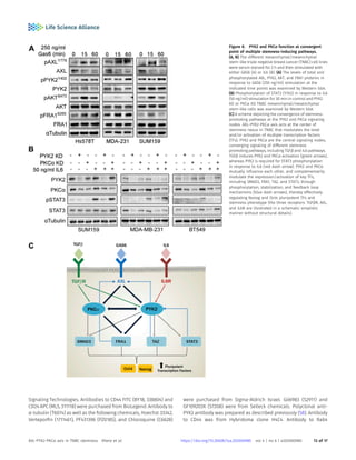 Sima Lev The AXL PYK2 PKC axis as a nexus of stemness circuits in TNBC ...