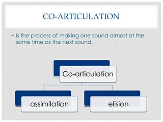 Introduction to Phonology | PDF