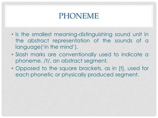 Introduction to Phonology | PDF