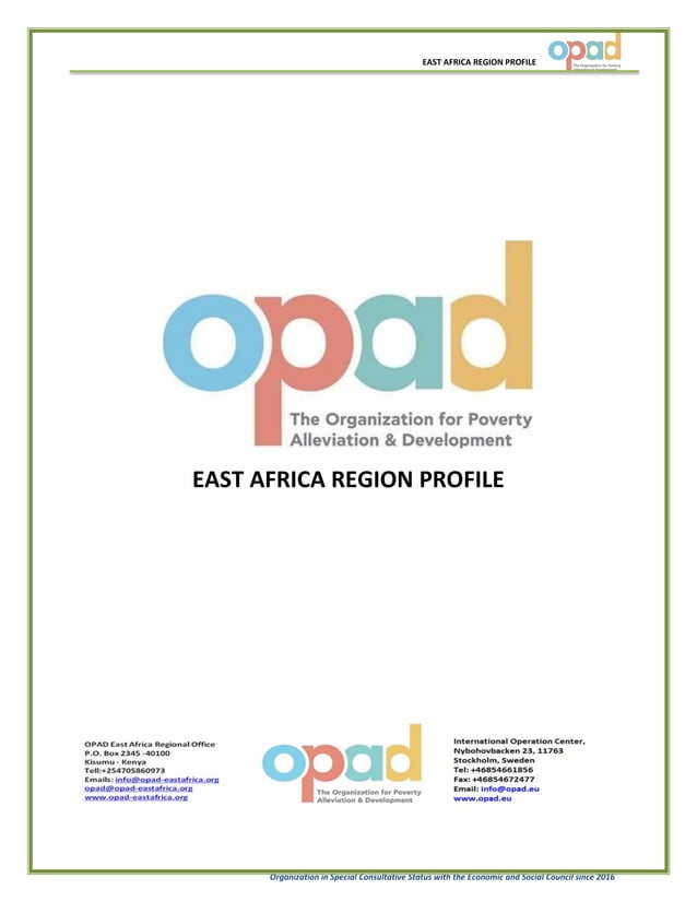 OPAD ORGANIZATION PROFILE Breif | PDF