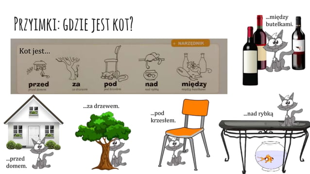 Instrumental Case Work | PPTX