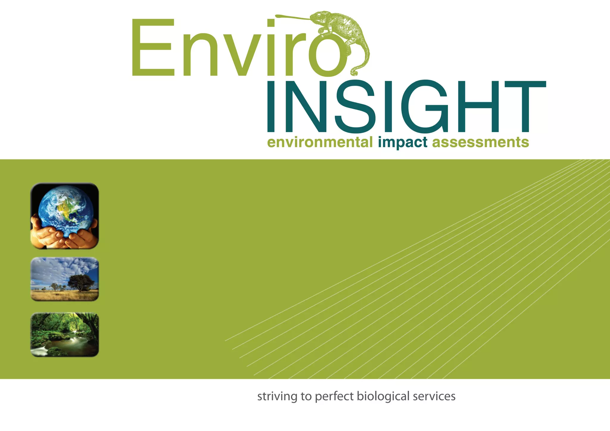 Enviro-Insight Brochure 2012 | PDF | Environmental Services Industry ...
