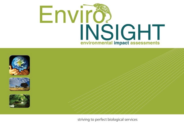 Enviro-Insight Brochure 2012 | PDF | Environmental Services Industry ...