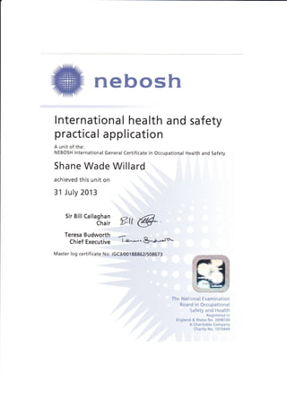 NEBOSH SWWillard | PDF | Business and Finance