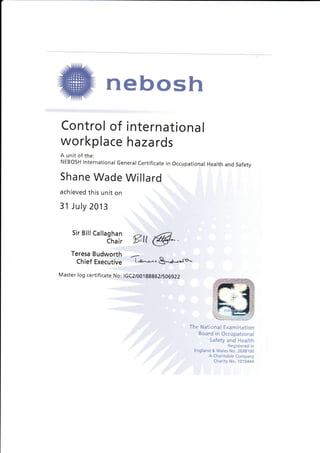 NEBOSH SWWillard | PDF