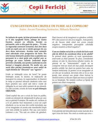 Crize Furie | PDF