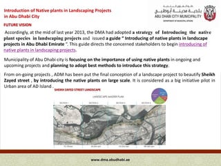 Introduction of Native plants in Landscaping Projects in Abu Dhabi City ...