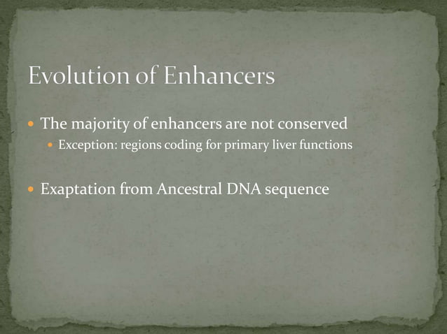 o) Powerpoint Enhancer Evolution Across 20 Mammalian Species | PPTX