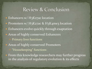 o) Powerpoint Enhancer Evolution Across 20 Mammalian Species | PPTX