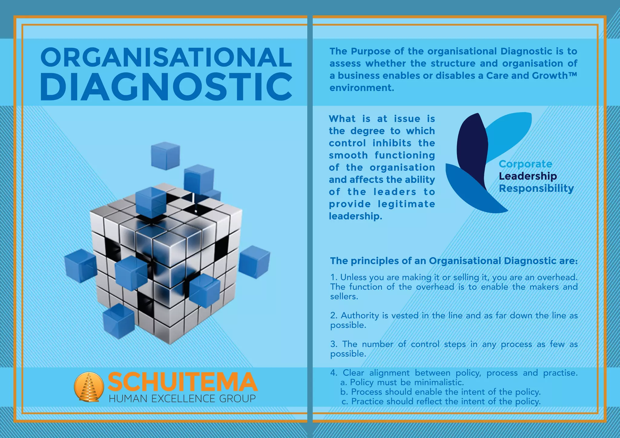 Organizational Diagnostic Brochure | PPT
