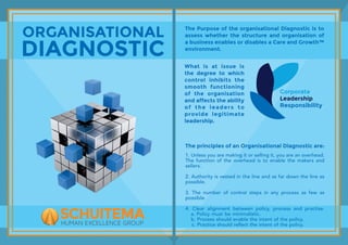 Organizational Diagnostic Brochure | PPT