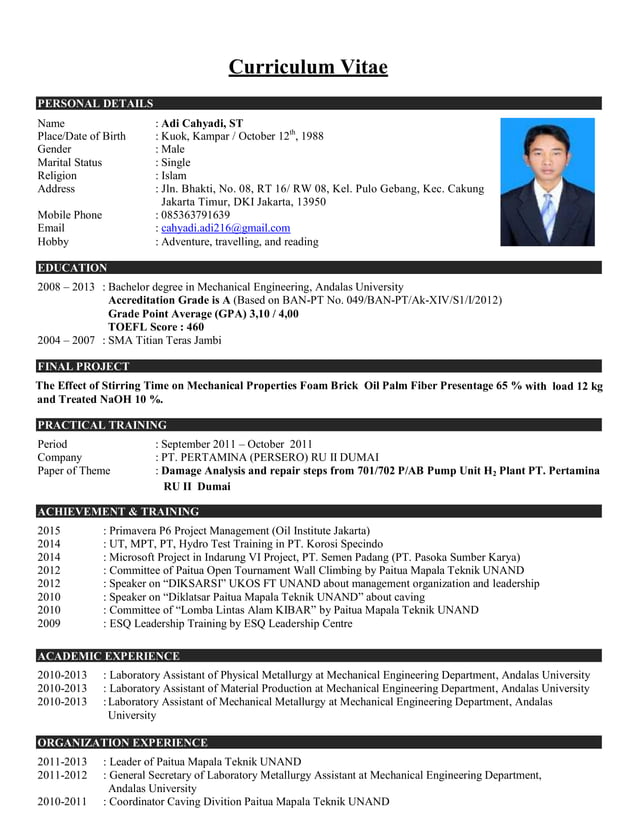 CV Adi Cahyadi | PDF