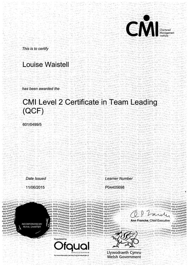 CMI Team Leading | PDF