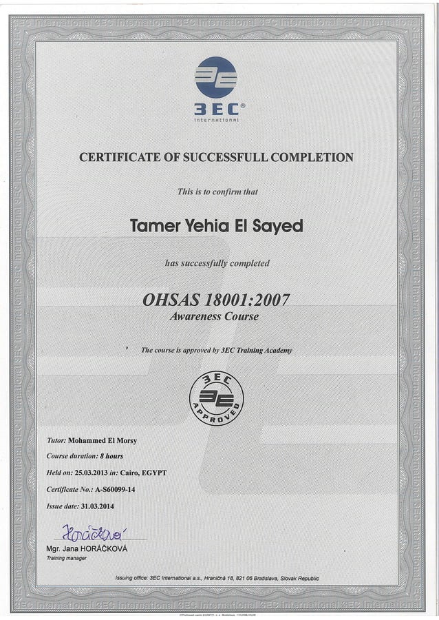 Tamer Yehai CV REV4 | PDF