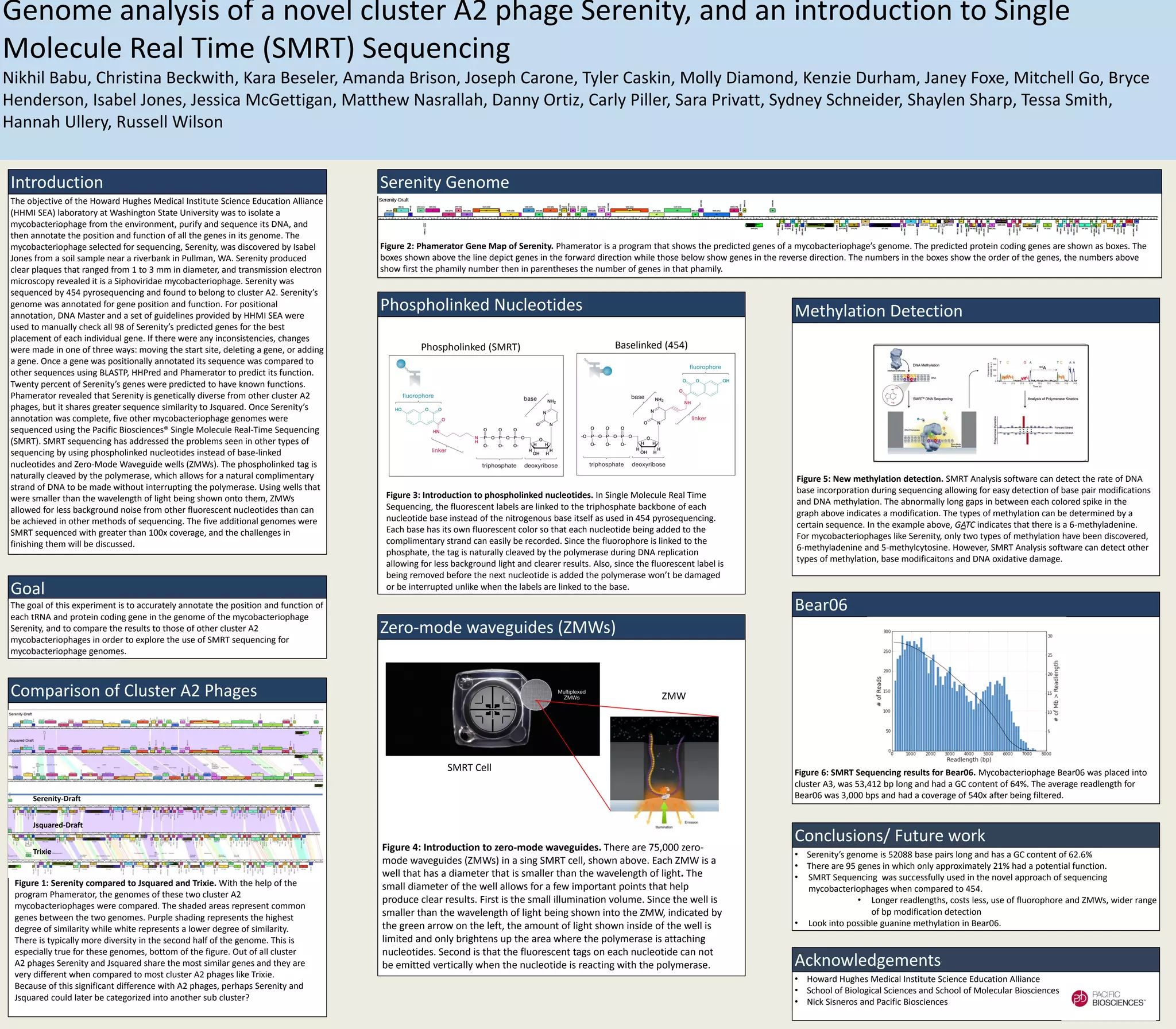 HHMI Poster | PPTX