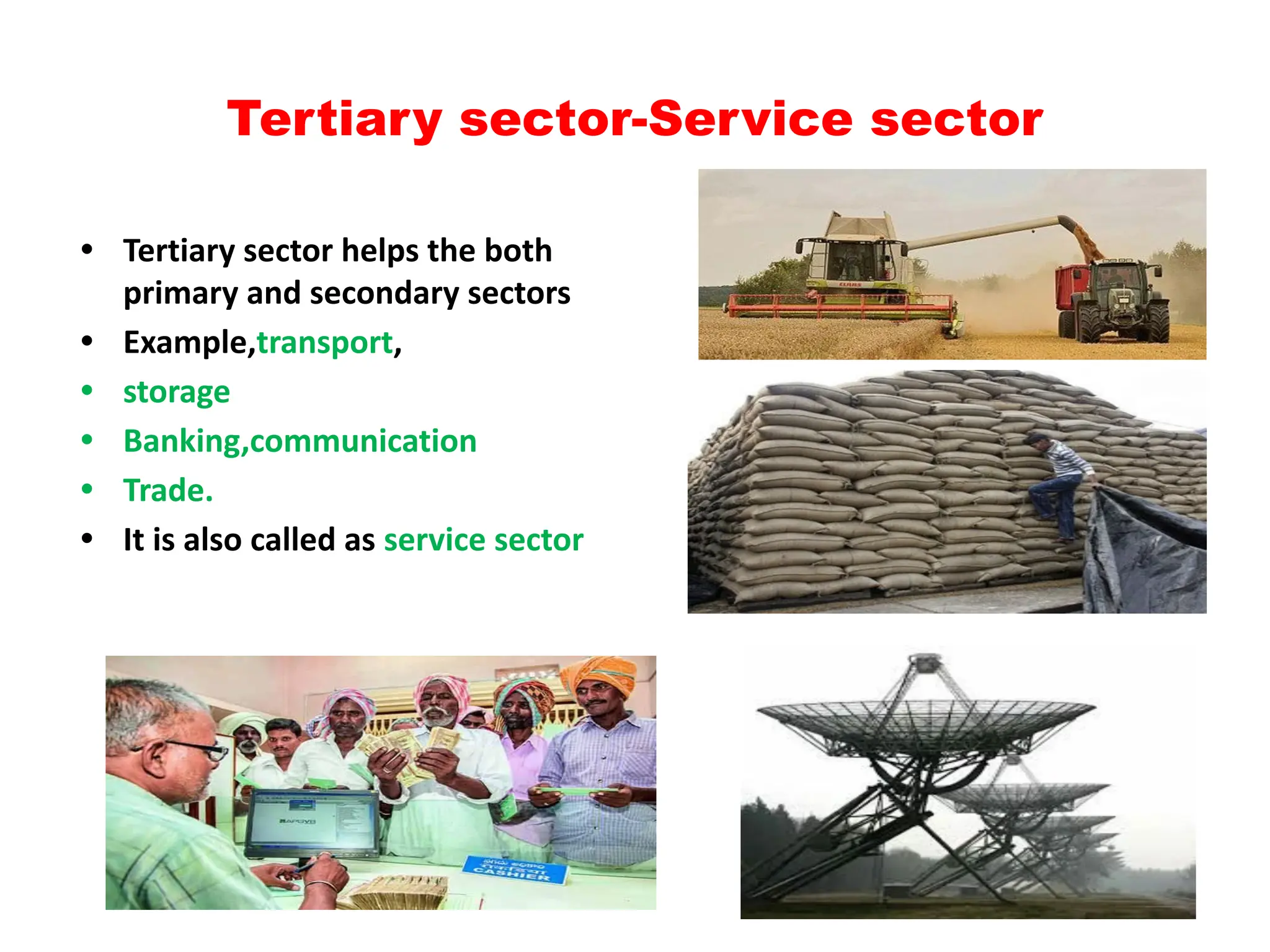 E2 Sectors of Indian Economy 1.pptx.pdf ssst | PPT