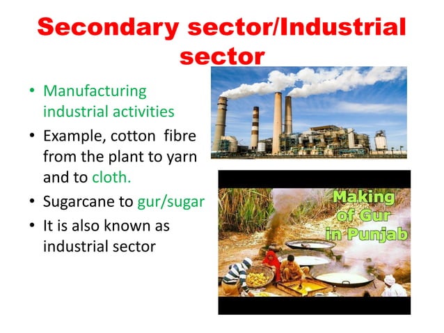E2 Sectors of Indian Economy 1.pptx.pdf ssst | PPT