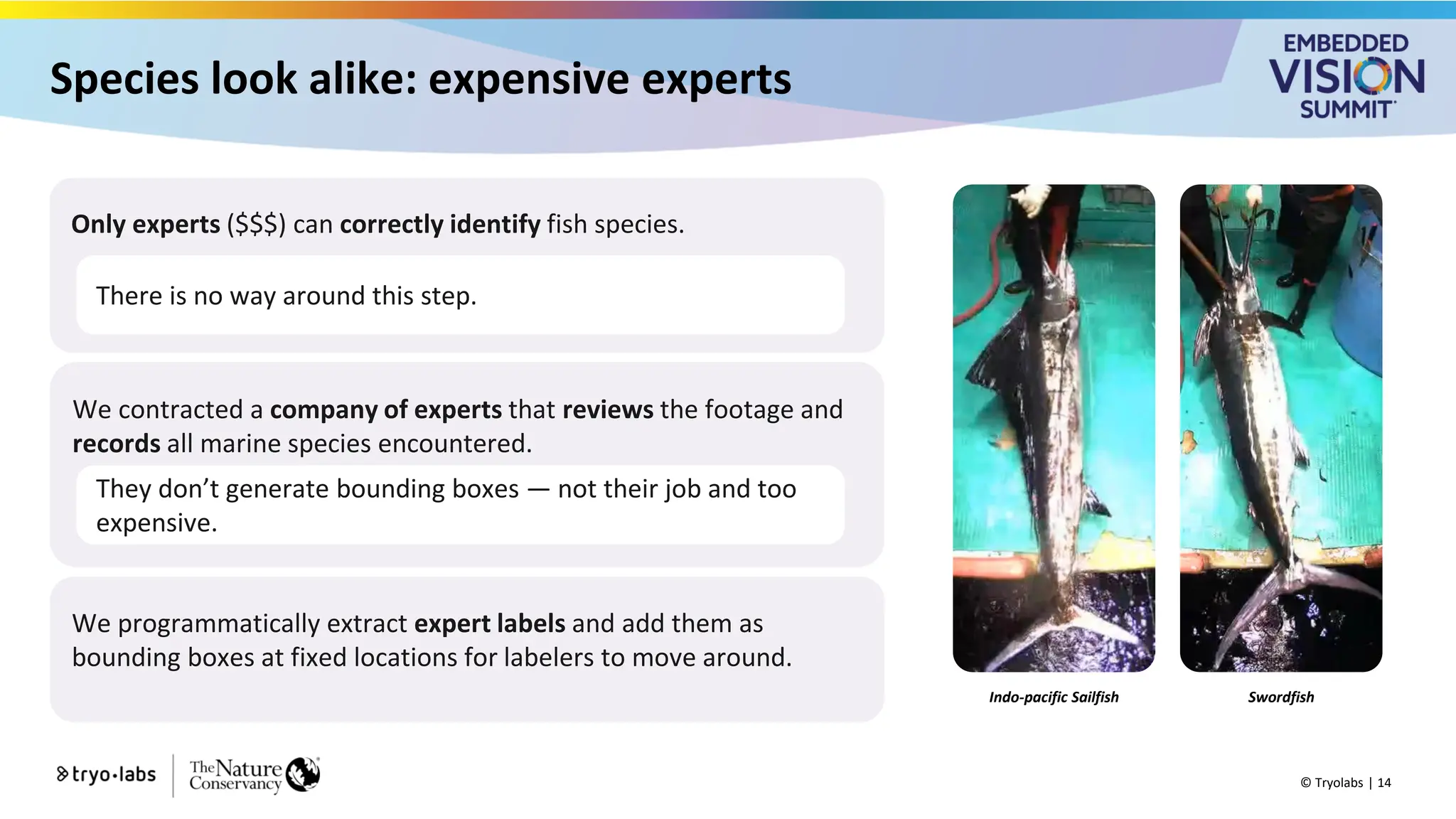 “Computer Vision at Sea: Automated Fish Tracking for Sustainable ...