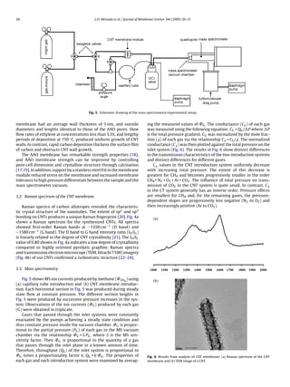 Direct coupling of a carbon nanotube membrane to a mass spectrometer ...