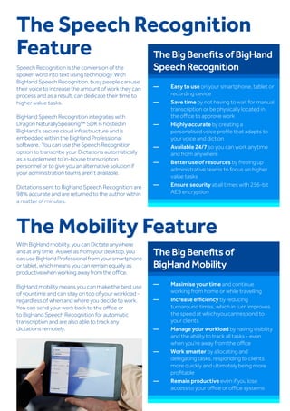 BigHand Professional Brochure | PDF