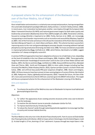 River Medina restoration report | DOCX