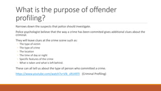 E3a1 offender profiling | PPT