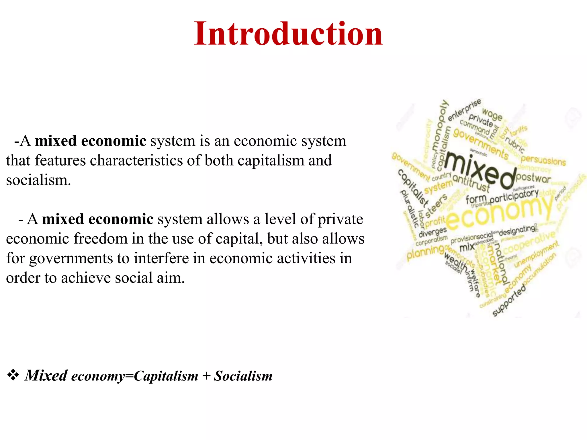 Mixed Economy [ECO101] | PPTX