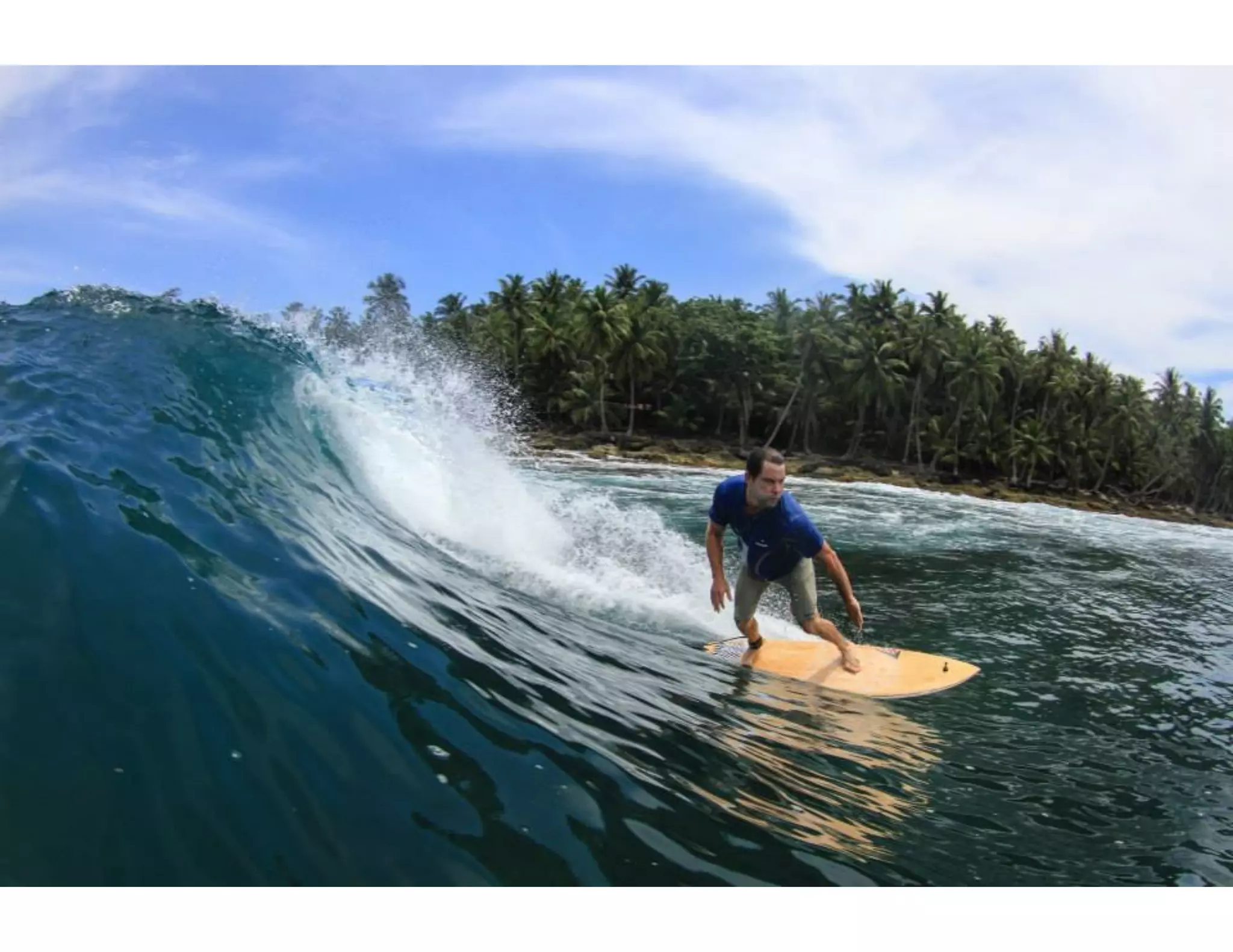 Bill Malloy Venture Capital Surf 18 | PDF