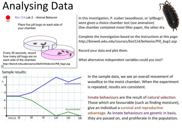 E3 Innate And Learned Behaviour | PPTX | Birdwatching | Hobbies & Interests