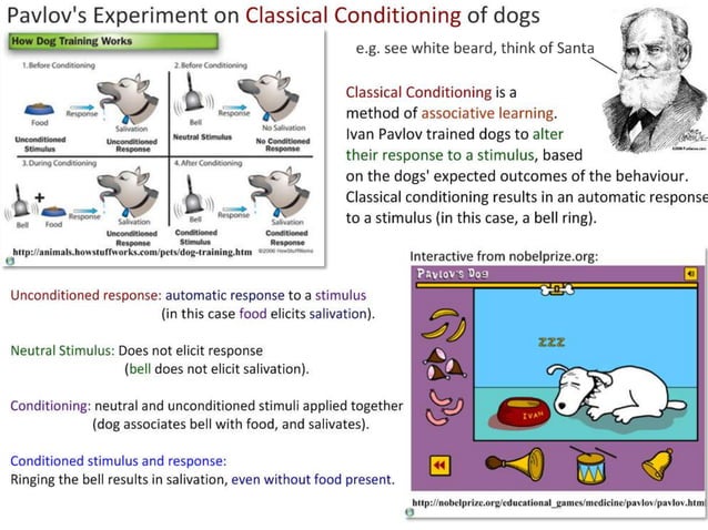 E3 Innate And Learned Behaviour | PPTX | Birdwatching | Hobbies & Interests
