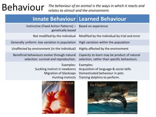 E3 Innate And Learned Behaviour | PPTX