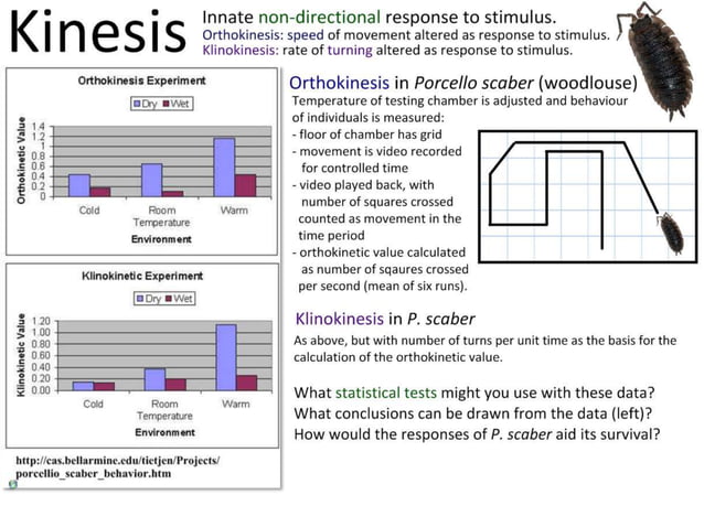 E3 Innate And Learned Behaviour | PPTX | Birdwatching | Hobbies & Interests
